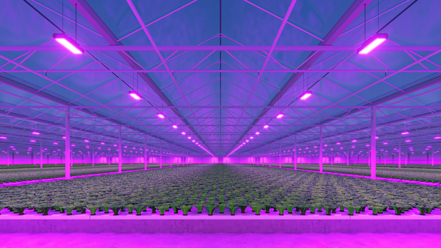 Light Manipulation Techniques: Crop Production | UbiGro